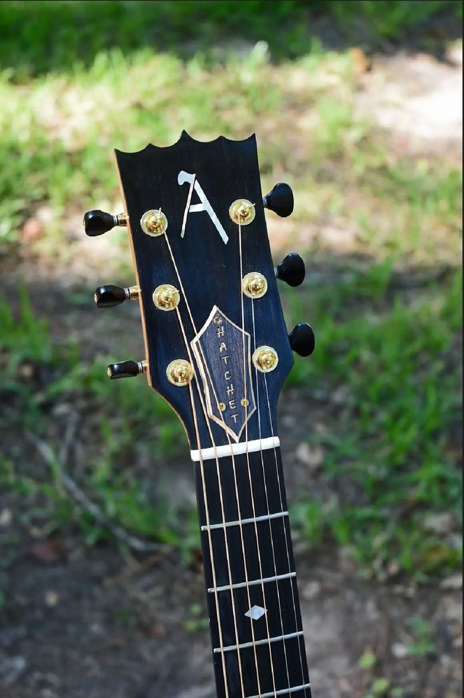 AXESS GUITARS - Updated July 2025 - Request Information - 36 Photos ...