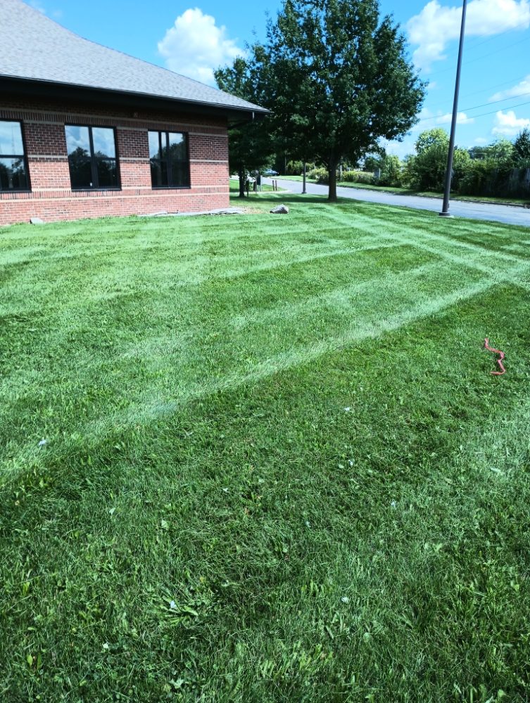 JASON’S LAWN AND LANDSCAPE - Coldwater, Michigan - Lawn Services ...