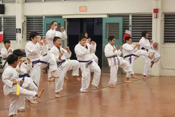TKO HAWAII - TRADITIONAL KARATE-DO ORGANIZATION HAWAII - Updated June ...