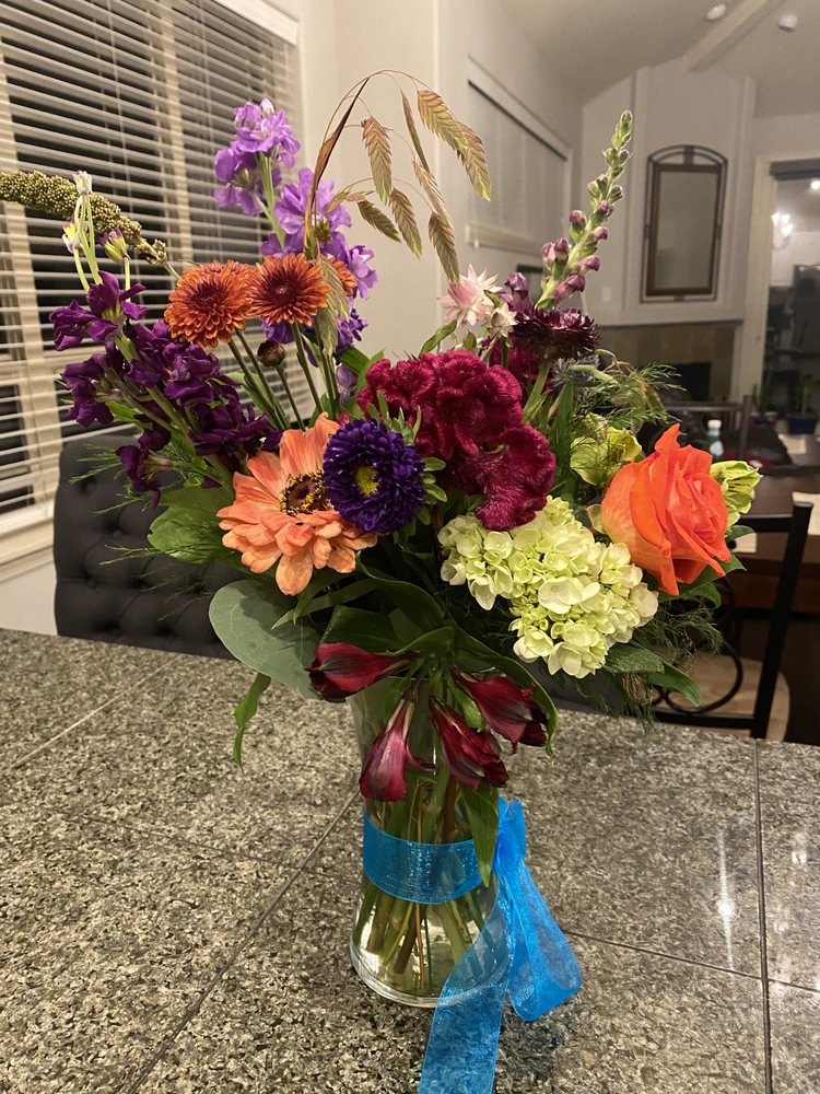 WILD FLOWERS OF OREGON - Updated September 2024 - 60 Photos & 29 ...