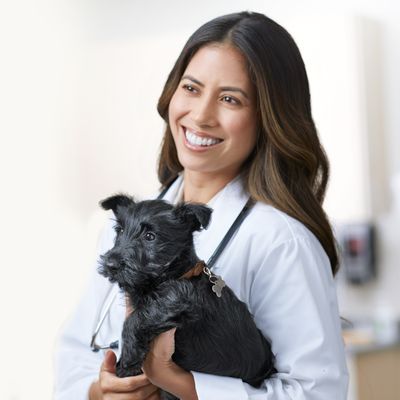 VETCO TOTAL CARE - Updated June 2024 - 20 Photos & 24 Reviews - 9092 ...