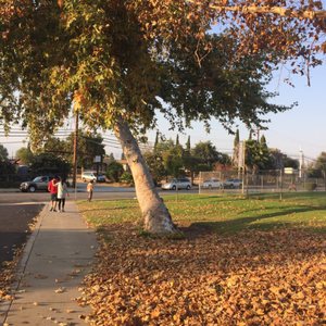 WALNUT RANCH PARK - 19 Photos - 20101 Amar Rd, Walnut, California ...