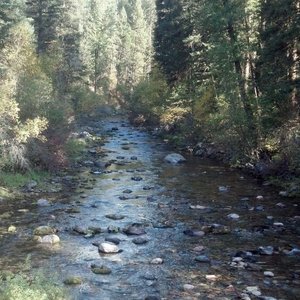 RATTLESNAKE NATIONAL RECREATION AREA AND WILDERNESS - 30 Photos ...