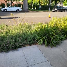 URBAN ROOTS BREWING & SMOKEHOUSE - Updated May 2025 - 2035 Photos ...