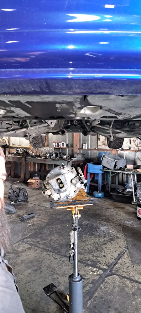 REEL NATIVE AUTOMOTIVE AND MARINE - Updated 2024 - 245 Photos ...