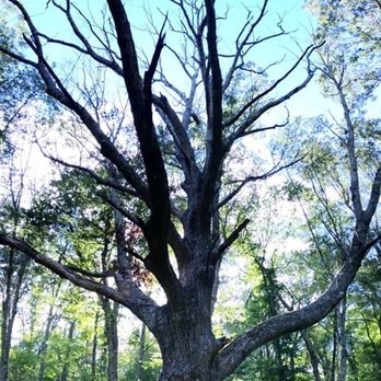 BRADNER PRESERVE - Updated 2024 - 380 Gardiner Rd, Richmond, Rhode ...