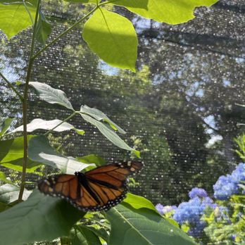 CAPE COD MUSEUM OF NATURAL HISTORY - Updated December 2025 - 42 Photos ...