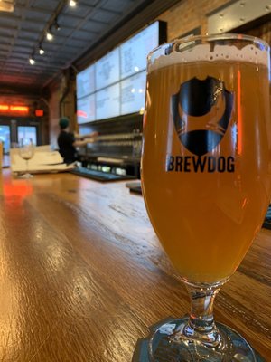 BREWDOG SHORT NORTH - 134 Photos & 91 Reviews - 1175 N High St ...