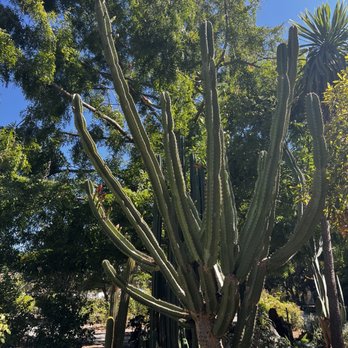 NILES ROSE GARDEN - Updated January 2026 - 98 Photos & 14 Reviews ...