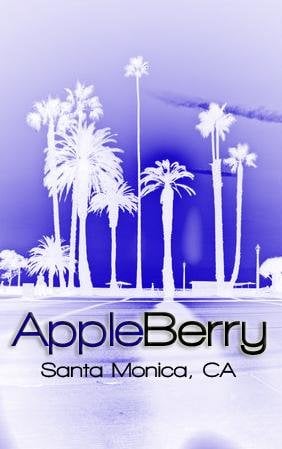 APPLEBERRY STORE - Updated May 2024 - 408 Broadway, Santa Monica ...