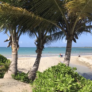 OCEAN PARK BEACH - 62 Photos & 24 Reviews - Beaches - Avenue Doctor ...