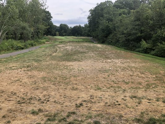 THE LYMAN ORCHARDS GOLF CLUB - Updated August 2024 - 51 Photos & 31 ...