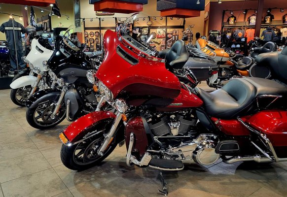 CALIENTE HARLEY-DAVIDSON - Updated December 2025 - 186 Photos & 65 ...