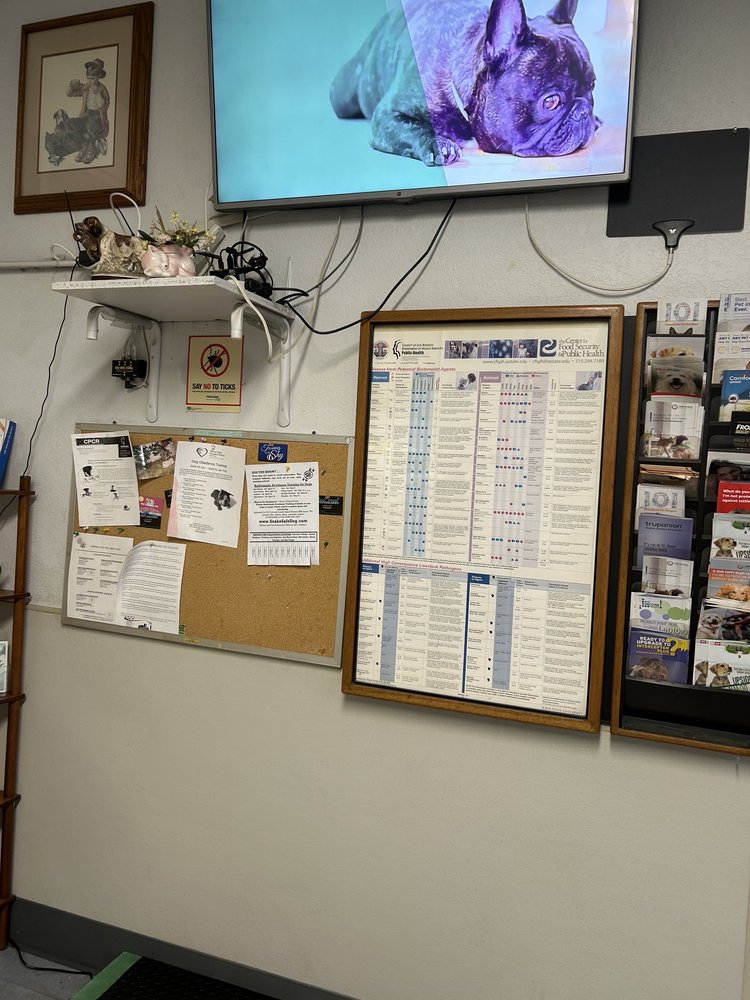 SOUTH GLENDORA ANIMAL HOSPITAL - Updated December 2024 - 69 Photos ...