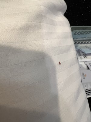 RESERVATION COUNTER - Updated November 2024 - 20 Photos & 739 Reviews ...