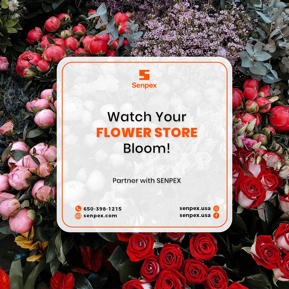 SENPEX - 32 Photos - 3566 Stevens Creek Blvd, San Jose, California ...