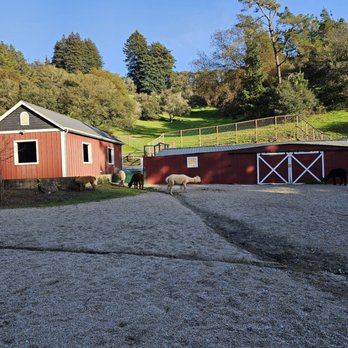 R2 HILLSIDE RANCH - Updated October 2025 - 181 Photos & 42 Reviews ...