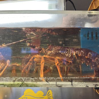 MANDARIN KITCHEN - Updated August 2024 - 703 Photos & 482 Reviews ...