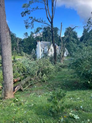 STROBERT TREE SERVICES - Updated April 2025 - 28 Photos & 43 Reviews ...