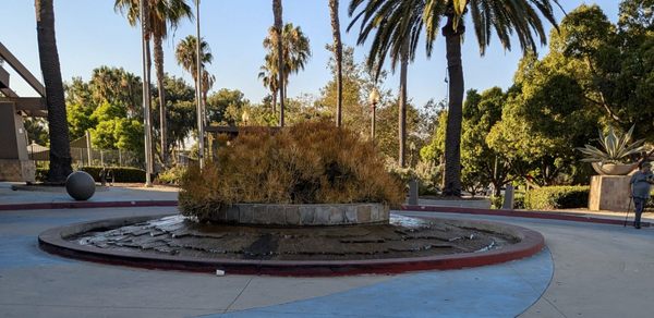 CESAR E CHAVEZ PARK - Updated August 2025 - 128 Photos & 16 Reviews - 401 Golden Ave, Long Beach ...