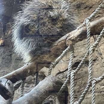 CURIODYSSEY - Updated November 2024 - 839 Photos & 340 Reviews - 1651 ...