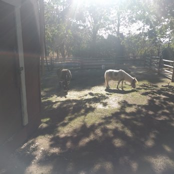 BEACON HILL CHILDREN’S FARM - Updated February 2025 - 129 Photos & 37 ...