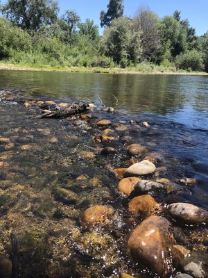 TURLOCK LAKE STATE RECREATION AREA - 119 Photos & 45 Reviews - Lakes ...