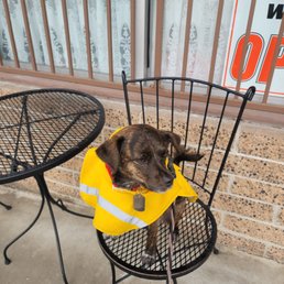 GROVE GRINDER - Updated August 2025 - 284 Photos & 329 Reviews - 3345 ...