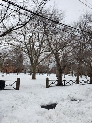 WOOSTER SQUARE PARK - Updated January 2025 - 99 Photos & 15 Reviews ...