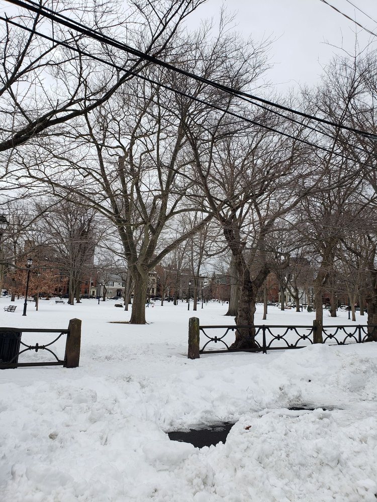 WOOSTER SQUARE PARK - 97 Photos & 15 Reviews - 570 Chapel St, New Haven ...