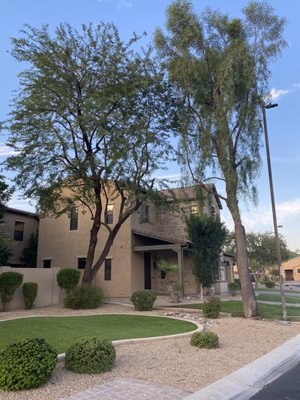 TREE PROS - Updated October 2024 - 48 Photos & 227 Reviews - 2836 W ...