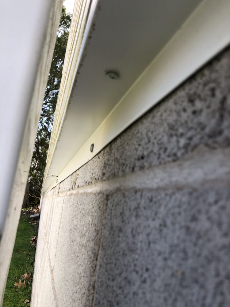 ALL STAR PEST SOLUTIONS - Updated October 2025 - 17 Photos - 350 ...