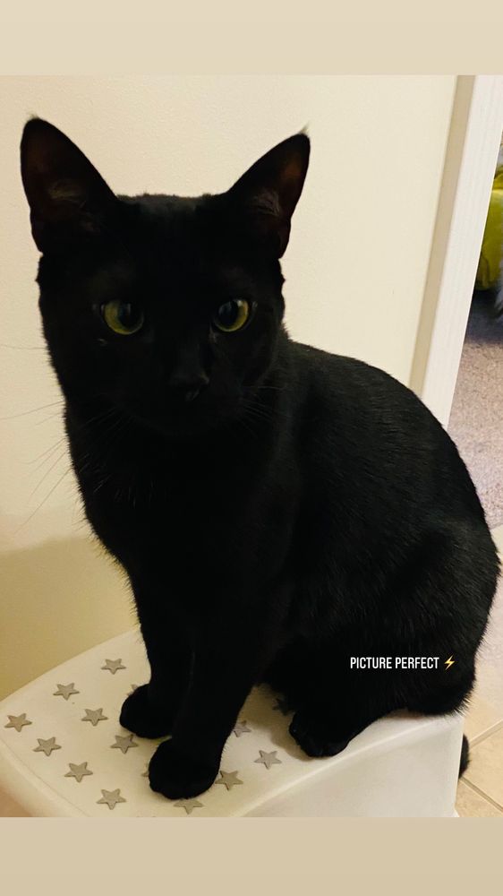 PRINCE WILLIAM COUNTY ANIMAL SHELTER - Updated August 2025 - 15 Photos ...