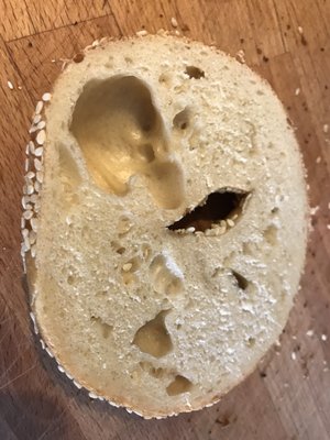 BAGEL BARON - Updated September 2025 - 19 Reviews - 2701 Eighth St ...