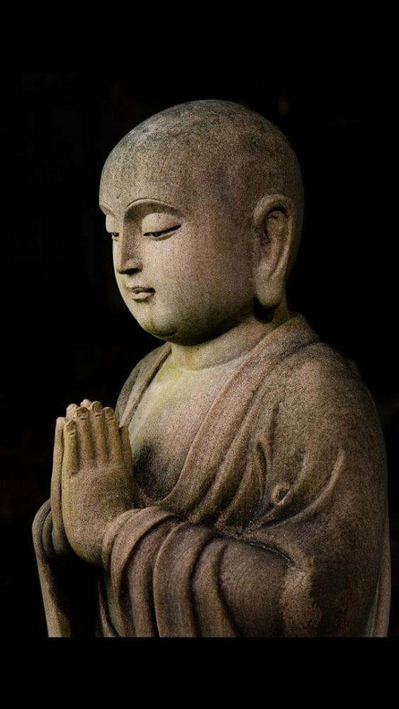 SHARYN ROSE - 18 Summit St, Somerville, Massachusetts - Counseling & Mental Health - Phone ...