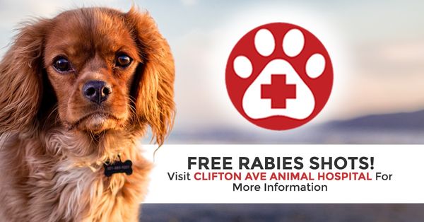 CLIFTON AVE ANIMAL HOSPITAL - Updated November 2025 - 26 Photos & 49 ...