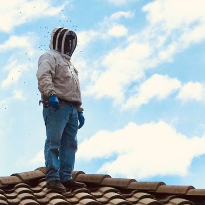 PRO PACIFIC PEST CONTROL - Updated December 2025 - 52 Photos & 293 ...