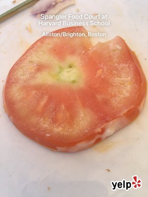 SPANGLER FOOD COURT AT HARVARD BUSINESS SCHOOL - Updated June 2026 - 29 ...