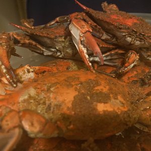 BLUE POINT CRAB HOUSE - 14 Photos & 21 Reviews - 235 N Montford Ave ...