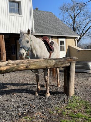 RED BUFFALO RANCH - Updated November 2024 - 68 Photos & 55 Reviews ...