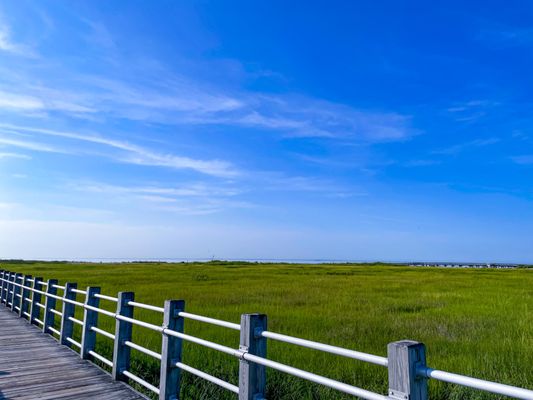 SILVER SANDS STATE PARK - Updated October 2024 - 246 Photos & 82 ...