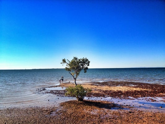 WELLINGTON POINT RECREATION RESERVE - Updated June 2025 - 2A Main Rd ...