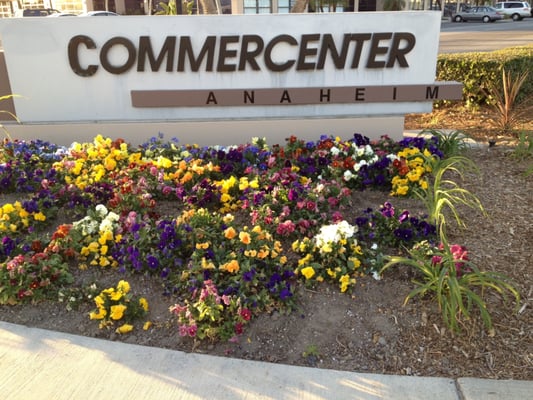 ABC TRAFFIC PROGRAMS - Updated December 2025 - 90 Reviews - 1501 ...