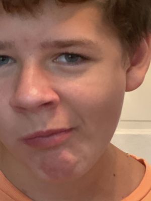 INGLES MARKETS INC - Updated January 2026 - 10 Reviews - 901 Lower ...