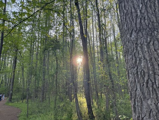 CONESTEE NATURE PRESERVE - Updated March 2026 - 141 Photos & 32 Reviews ...