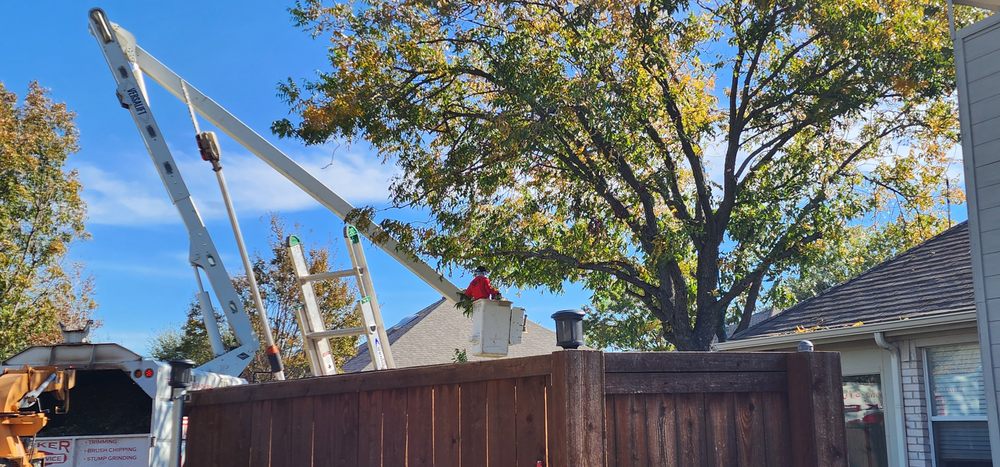 PARKER TREE SERVICE - Updated July 2025 - 23 Photos & 62 Reviews - 11 Maxwell Ln, Murphy, Texas ...