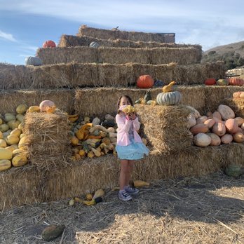 RODONI FARMS - Updated January 2026 - 151 Photos & 34 Reviews - 4444 ...