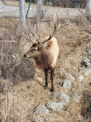 JESTER PARK NATURE CENTER - Updated December 2025 - 70 Photos - 12130 ...