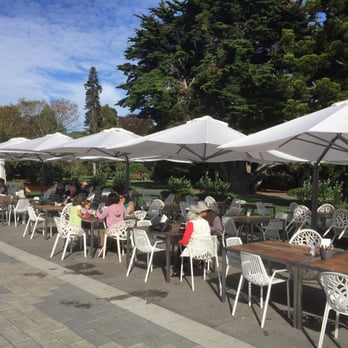 ILEX CAFE - Updated August 2025 - 18 Photos - Armagh St, Christchurch ...