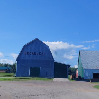 BROADLEAF GUEST RANCH - Updated December 2025 - 41 Photos - 5526 Route ...